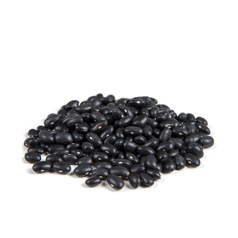 Porotos negros – Leone